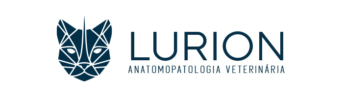 Interpretação de exames bioquímicos em pequenos animais: principais ...